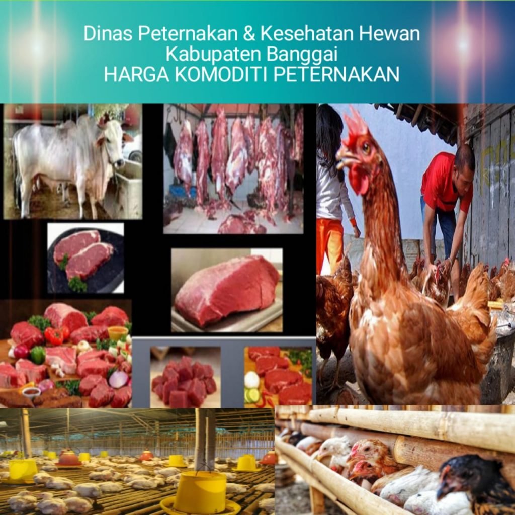 DAFTAR HARGA TERNAK, HASIL TERNAK, PAKAN TERNAK DAN PRODUKSI OLAHAN ...